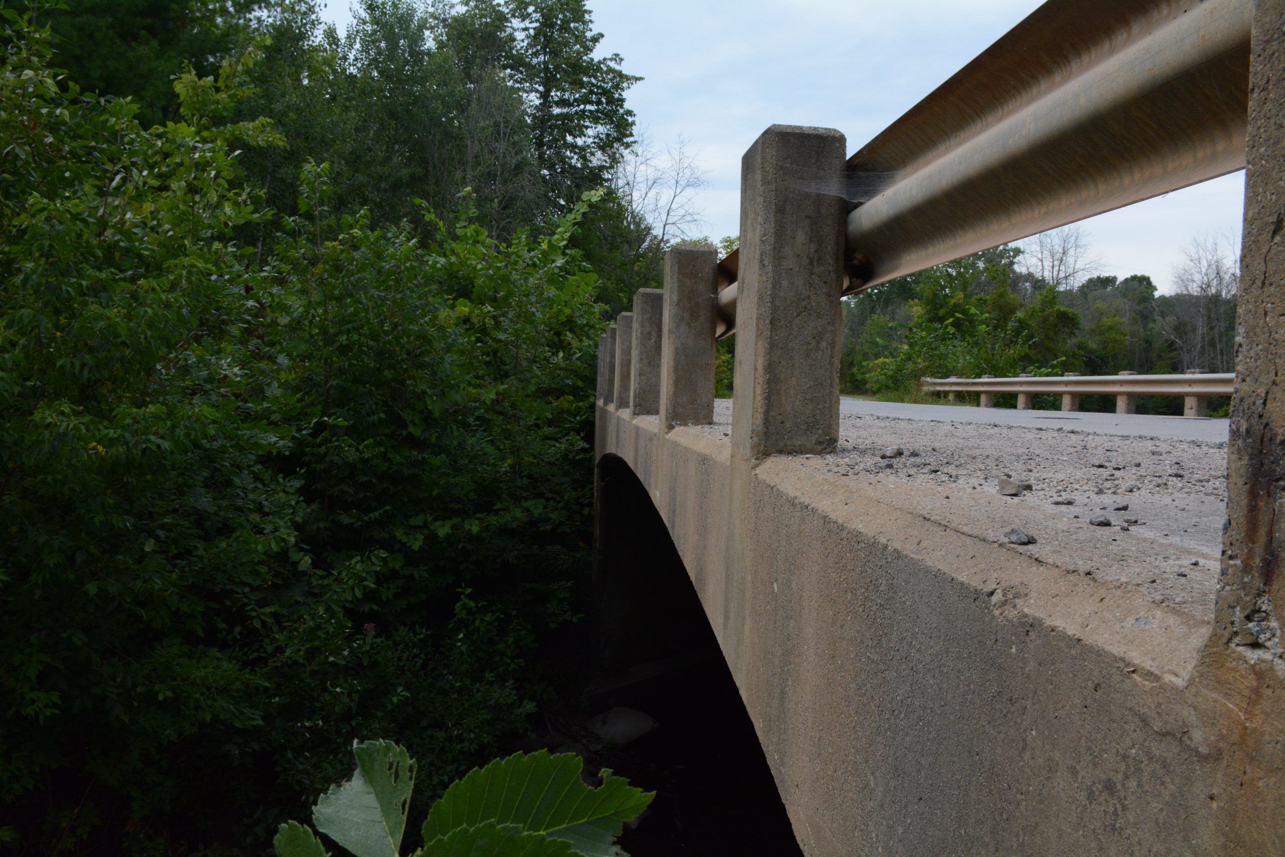 Replacement options for Lyn Valley Road bridge explored | Brockville ...