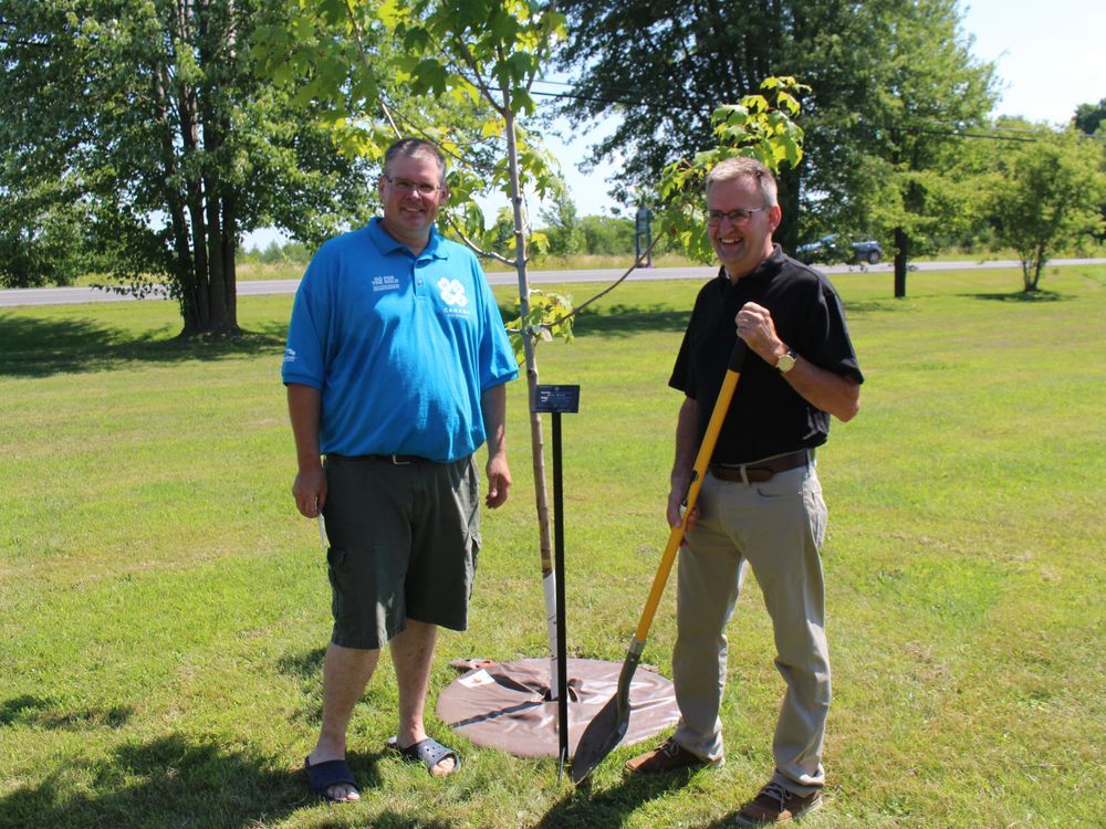 Way to go, Joe: Krol a Stormont 4-H provincial Arbor Award winner ...
