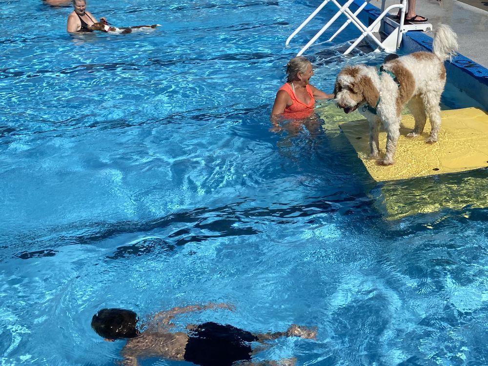 Splish Splash Doggie Bash - 2022 | The Londoner