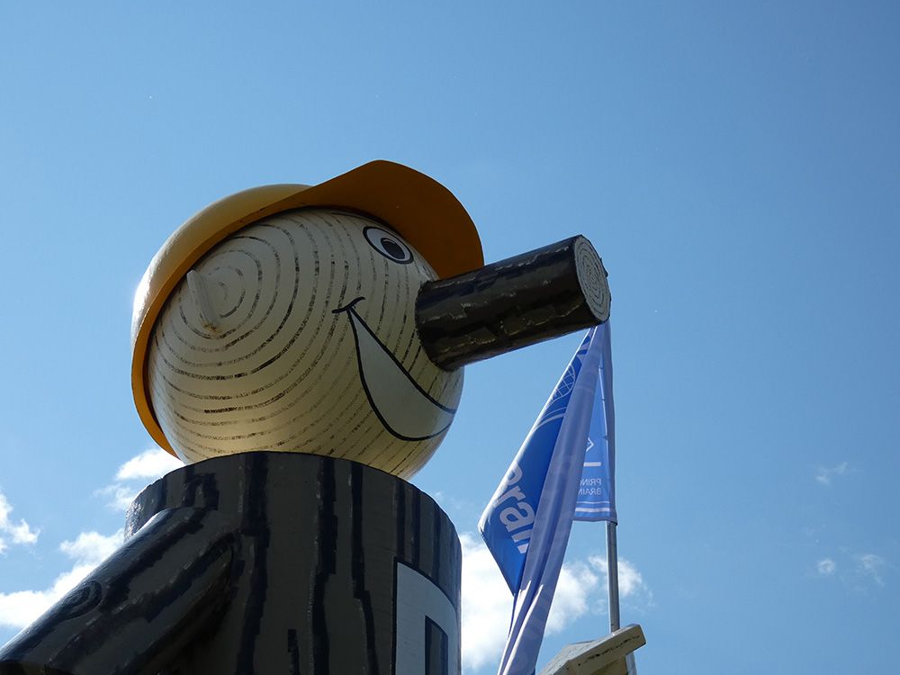 Census 2021: Recent growth in Prince George from visible minorities ...