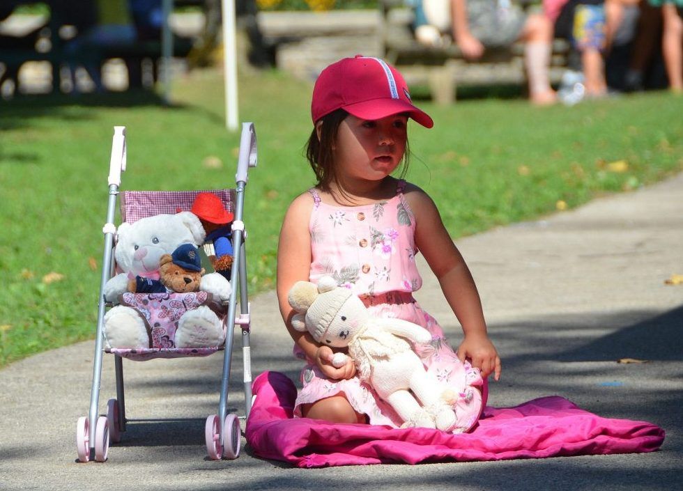 Teddy Bear Picnic helps prepare kids, families for return to school ...
