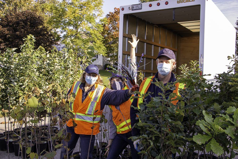 Tree Power program returns to Perth South for second year | The ...