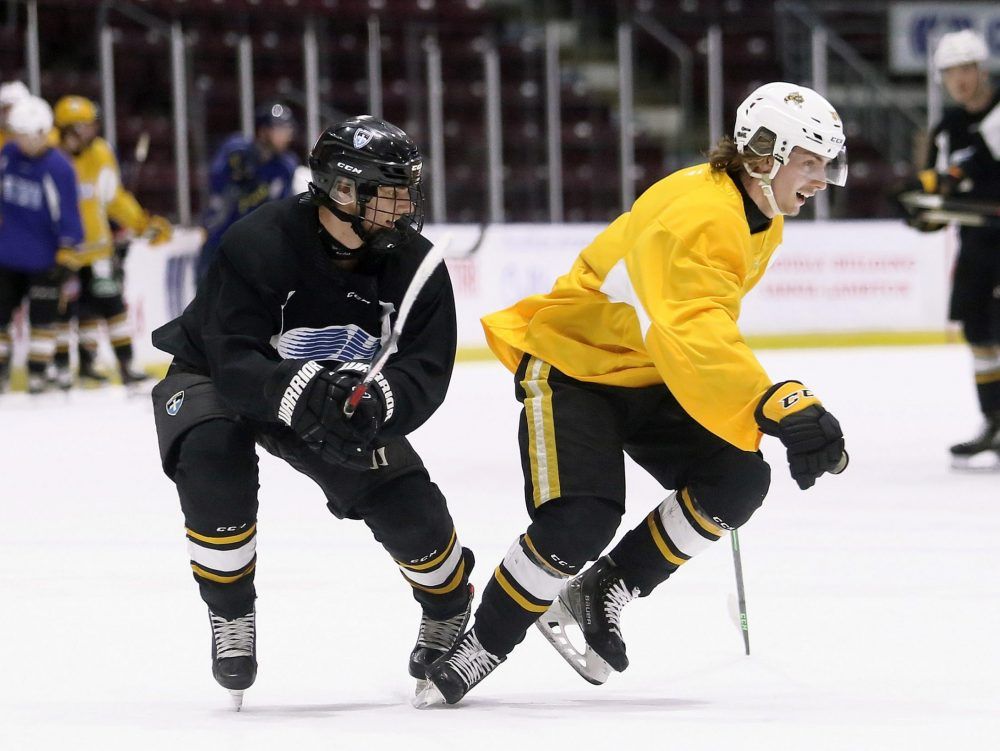 Voits bring brotherly love to Sting's training camp | The Sarnia Observer