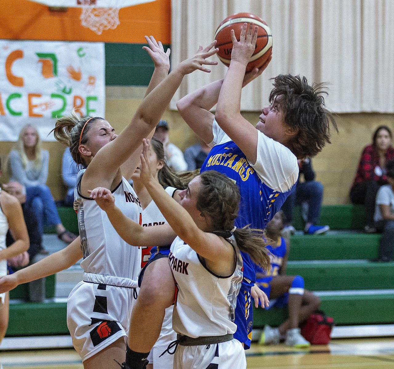 Senior Mustangs top coach's expectations | Brantford Expositor