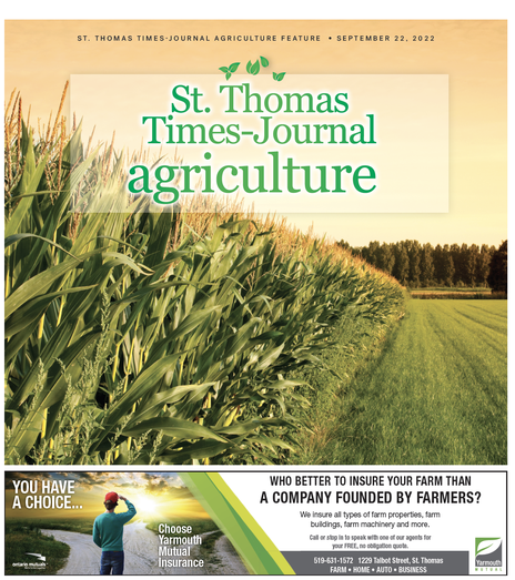 St. Thomas Breaking News | Local & National Headlines | St. Thomas ...