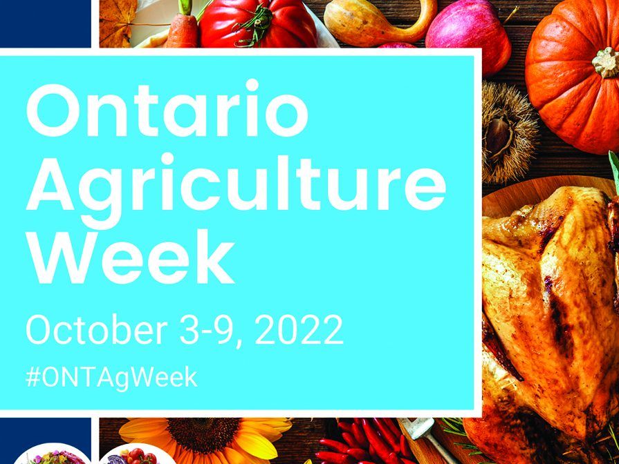 Source Local Food Fests coming for Ontario Agriculture Week | Ontario ...