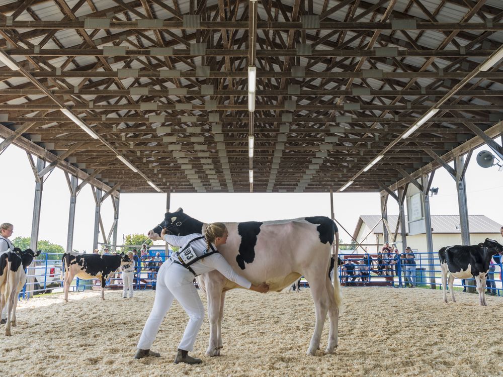Picton fair back in full force | Cornwall Standard-Freeholder