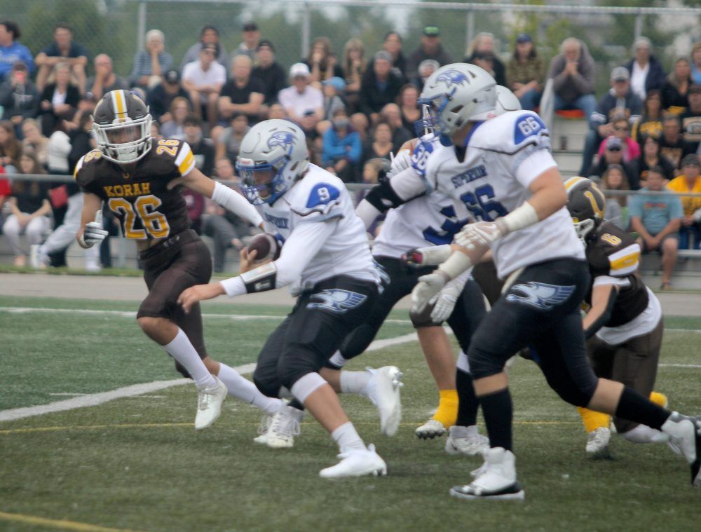 Steelhawks Knights Sault high school football | Sault Star