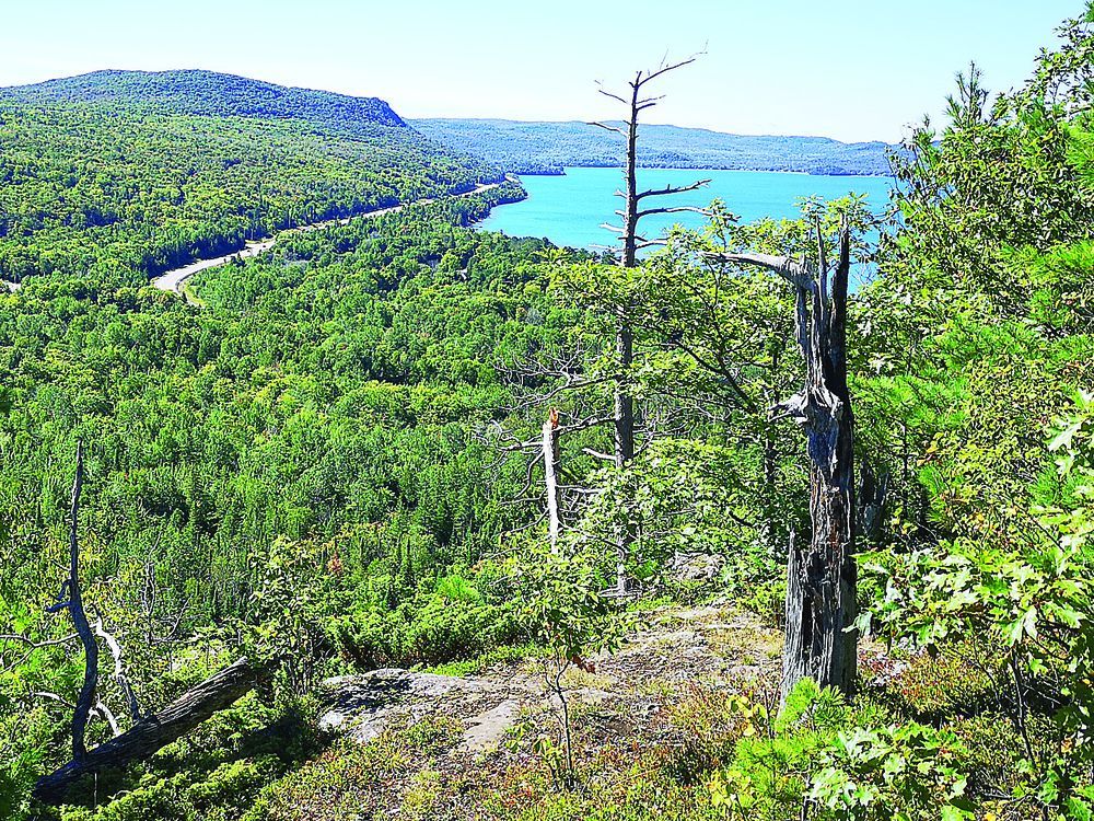 VTA map app just in time for fall colours | Sault This Week