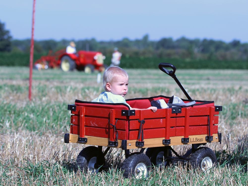 A century of competitive plowing in Lambton County | The Sarnia Observer