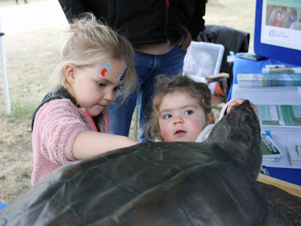 Forest Fall Fair turns 150 | The Sarnia Observer