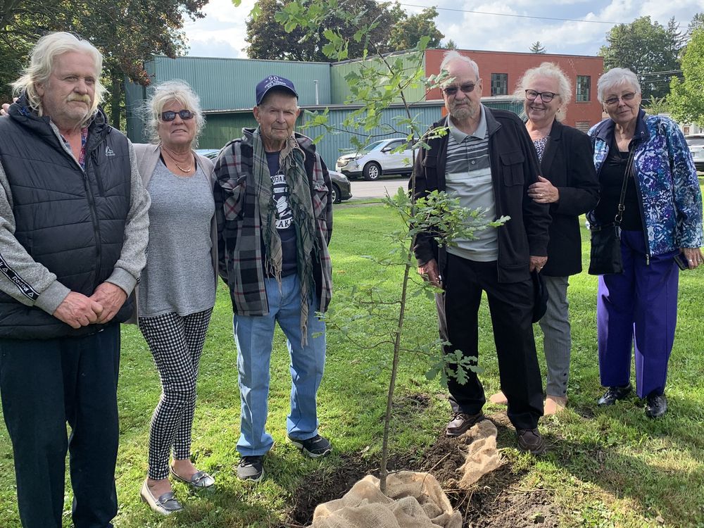 Vimy Oak planted at Christ Church in Vittoria | Simcoe Reformer