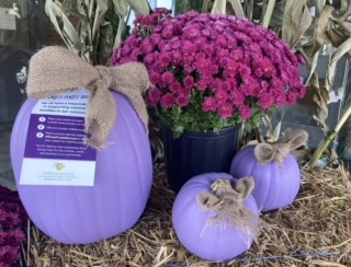 North Bay CAS encourages community to wear purple on oct 27 | North Bay ...