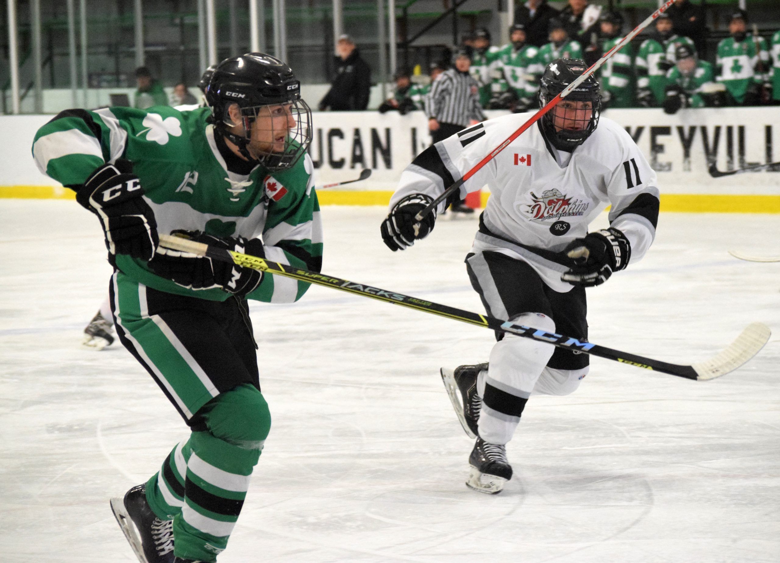 Lucan Irish dominate on the ice | Exeter Lakeshore Times Advance
