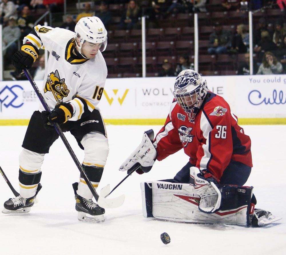 Sting waste strong start in loss to Spitfires | The Sarnia Observer