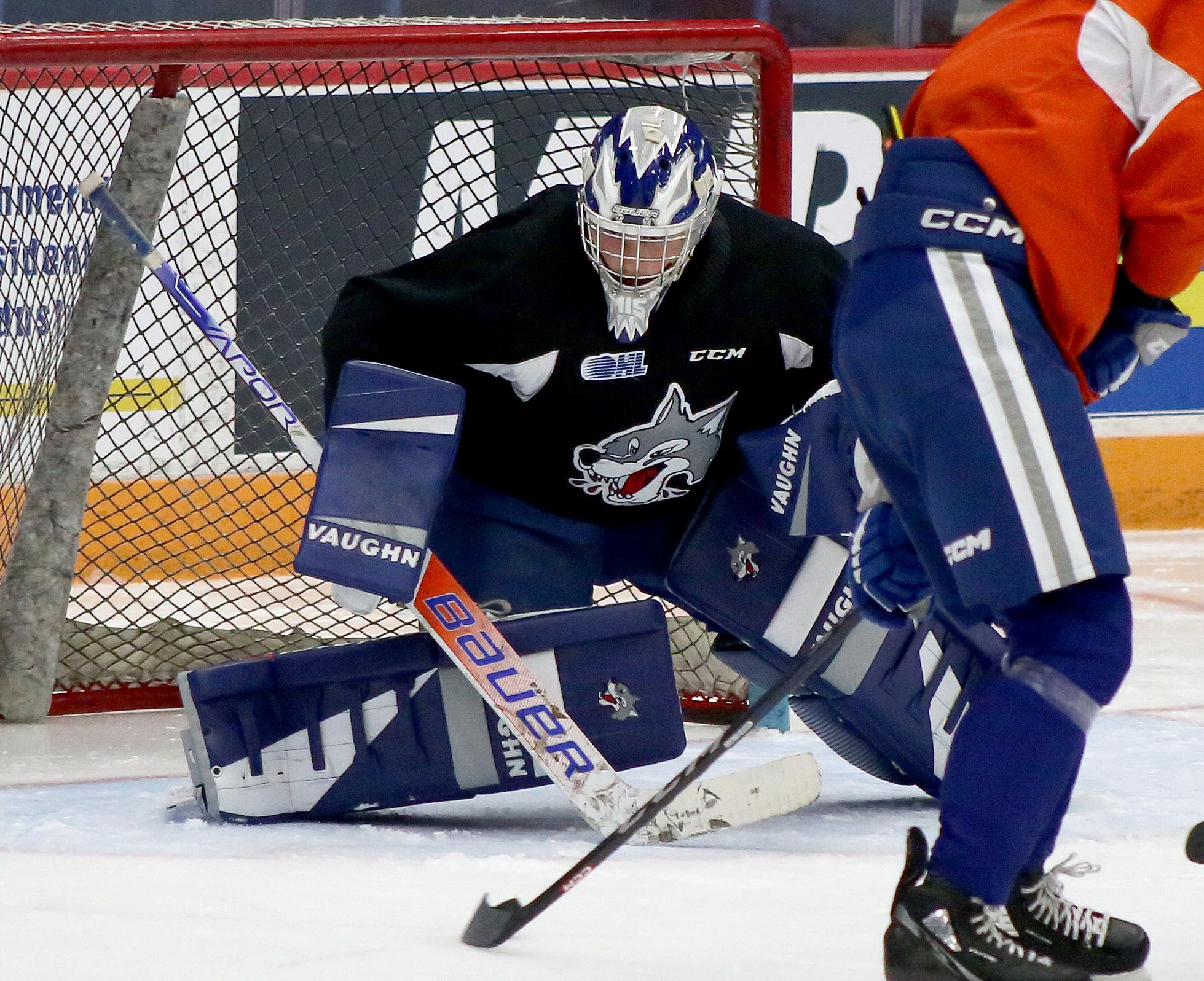 Wolf Tracks: Some things to clean up after 2-3 start | Sudbury Star