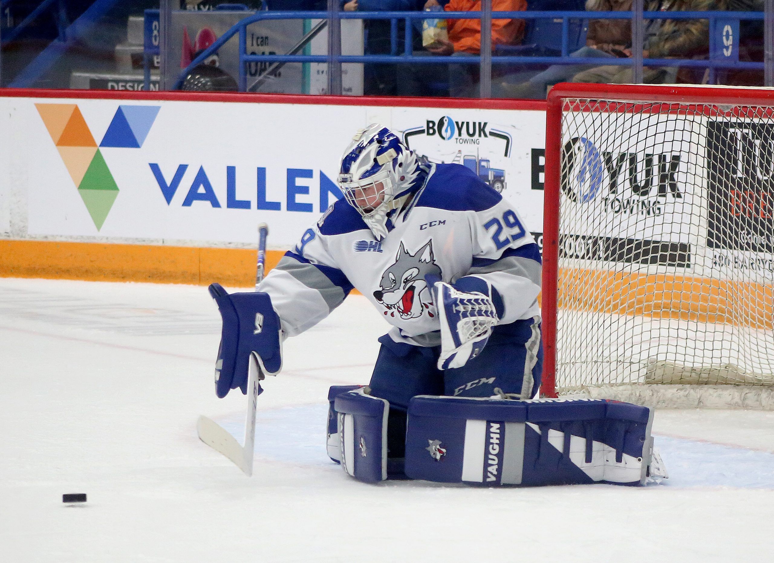 Wolves’ Ranger named OHL goalie of the week | Sudbury Star