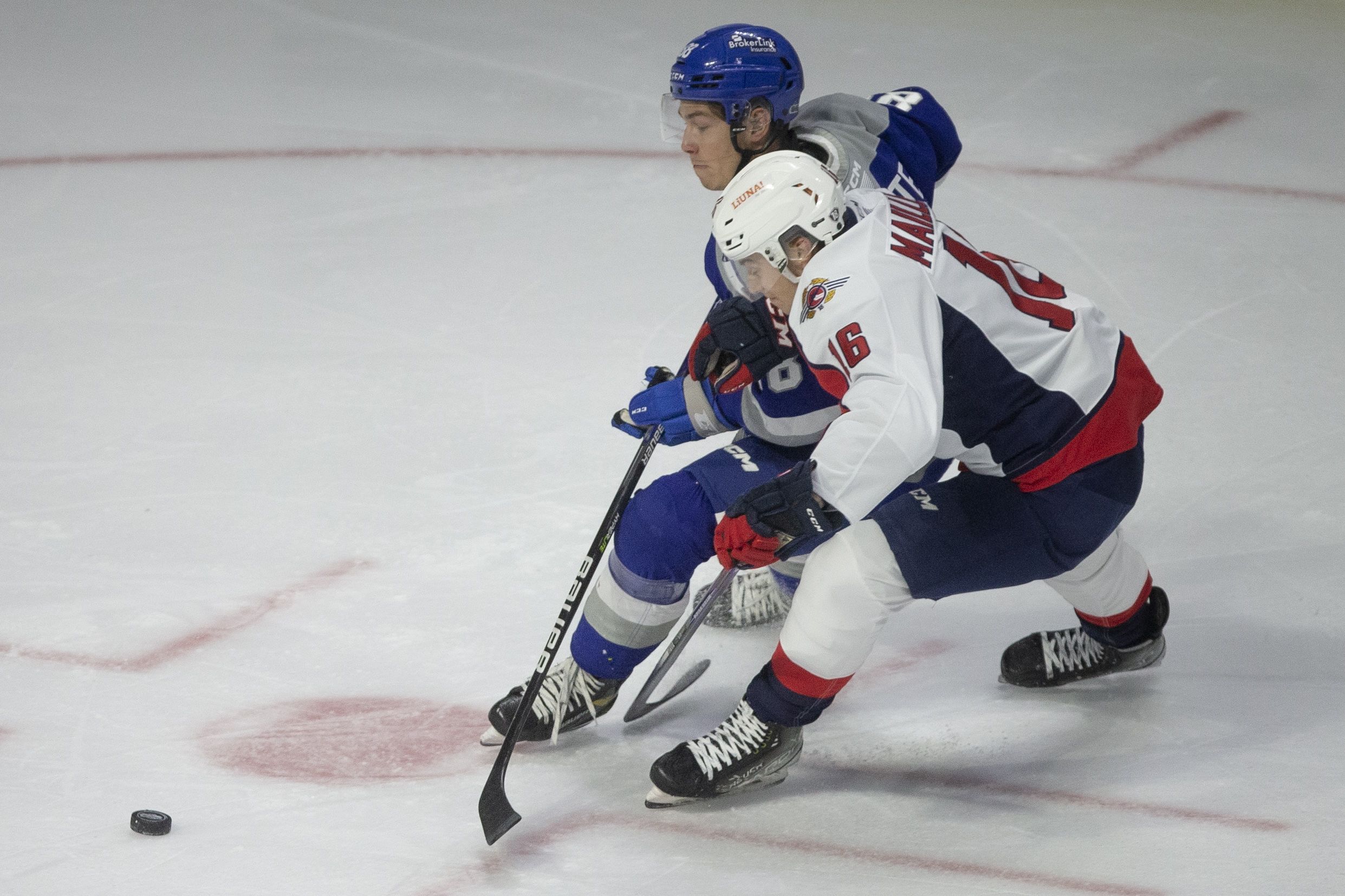 Sudbury Wolves force frantic finish, but fall 5-4 in Windsor | Sudbury Star