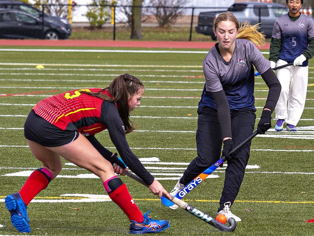 Lions capture girls field hockey title | Brantford Expositor
