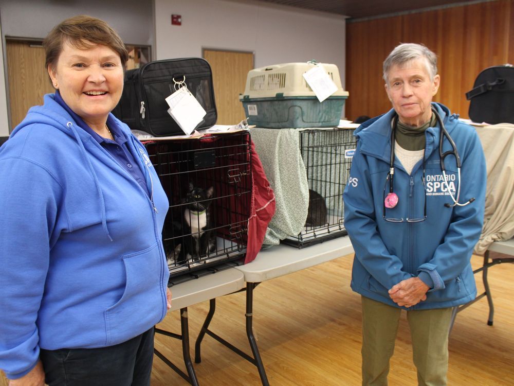 Milestone to be reached in Cornwall, for OSPCA mobile unit | Cornwall ...