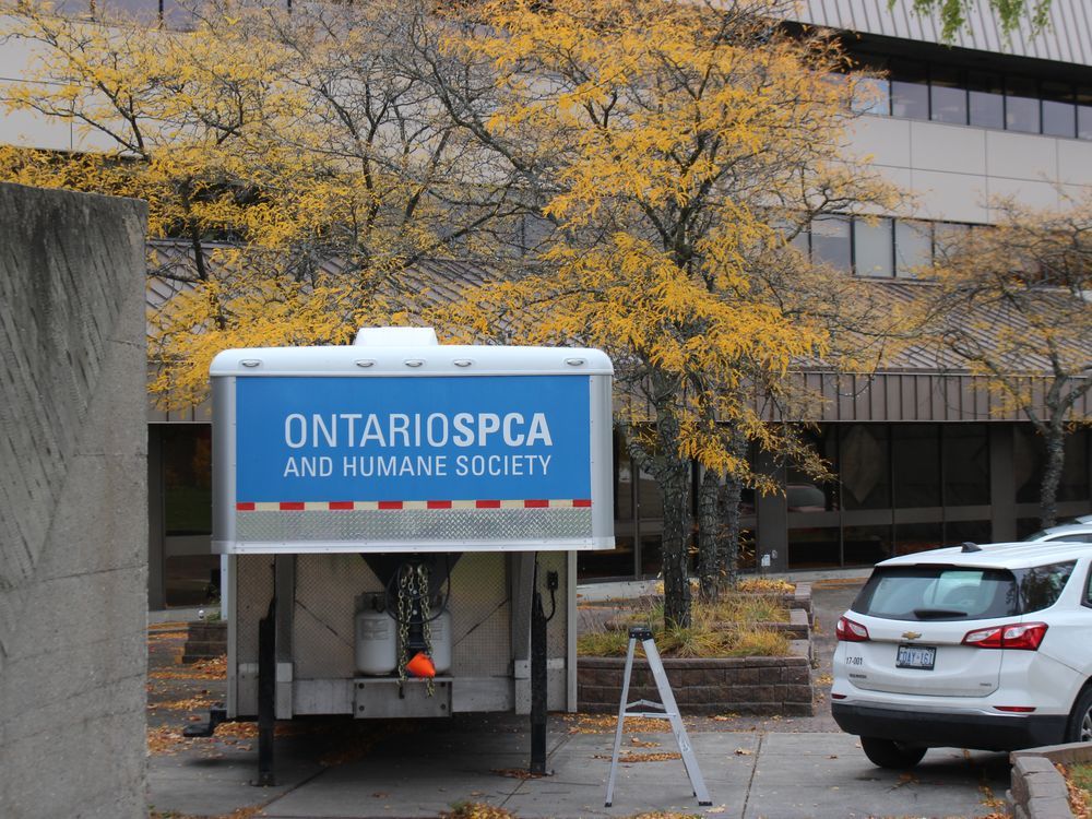 Milestone to be reached in Cornwall, for OSPCA mobile unit | Cornwall ...