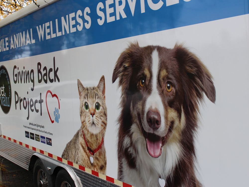 Milestone to be reached in Cornwall, for OSPCA mobile unit | Cornwall ...