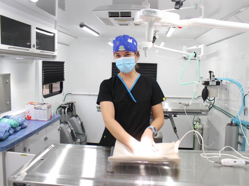 Milestone to be reached in Cornwall, for OSPCA mobile unit | Cornwall ...