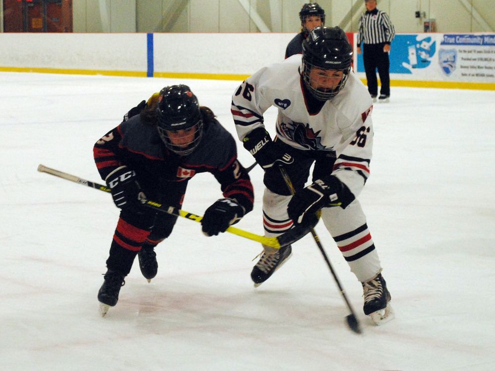 U15A, U13A Cornwall Typhoons take gold at CGHA tournament | Cornwall ...