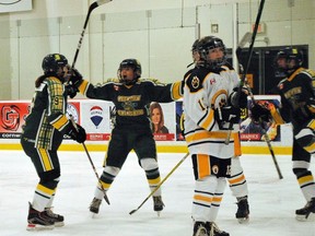 U15A, U13A Cornwall Typhoons take gold at CGHA tournament | Cornwall ...