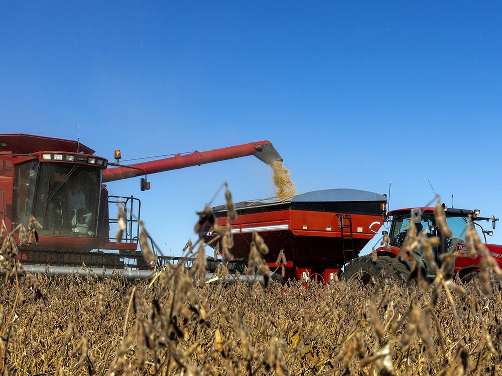 Crops | Ontario Farmer