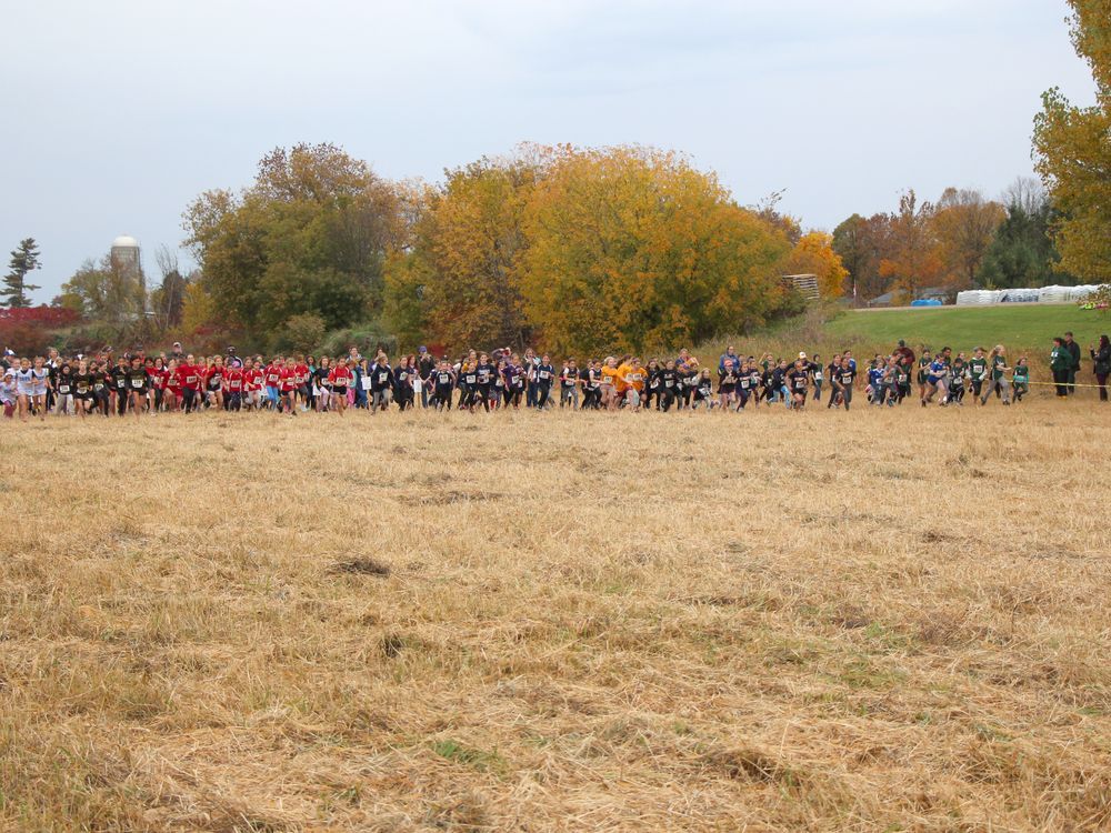 Runners hit the trails for Renfrew County Elementary Cross-Country ...