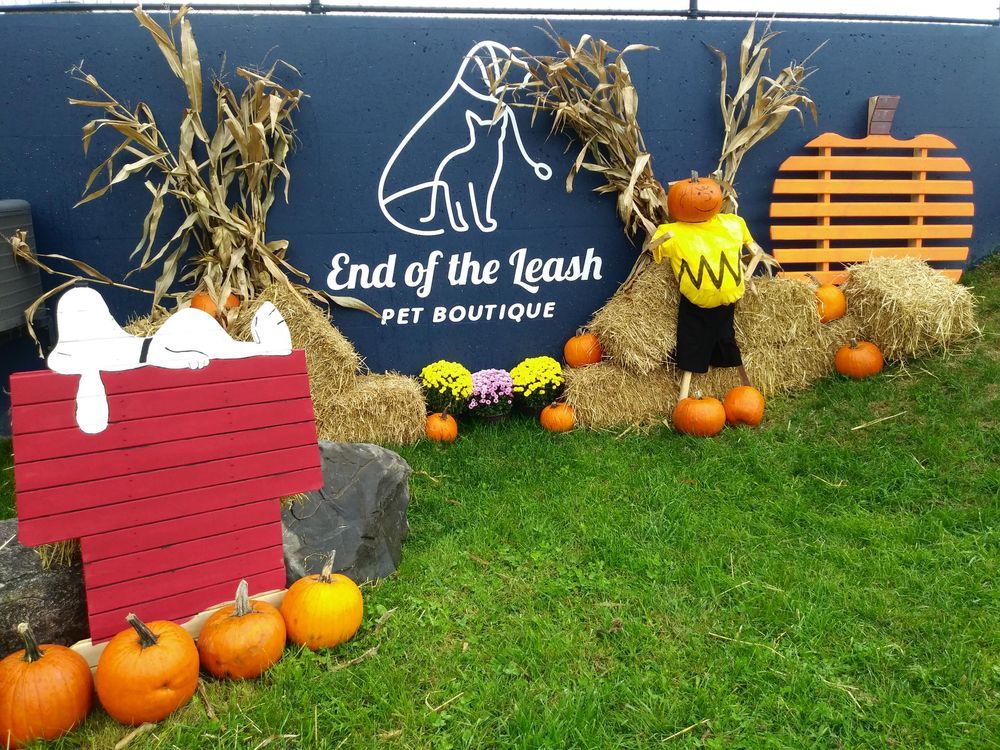 Petawawa Ramble Business Display Contest winners announced as part of ...