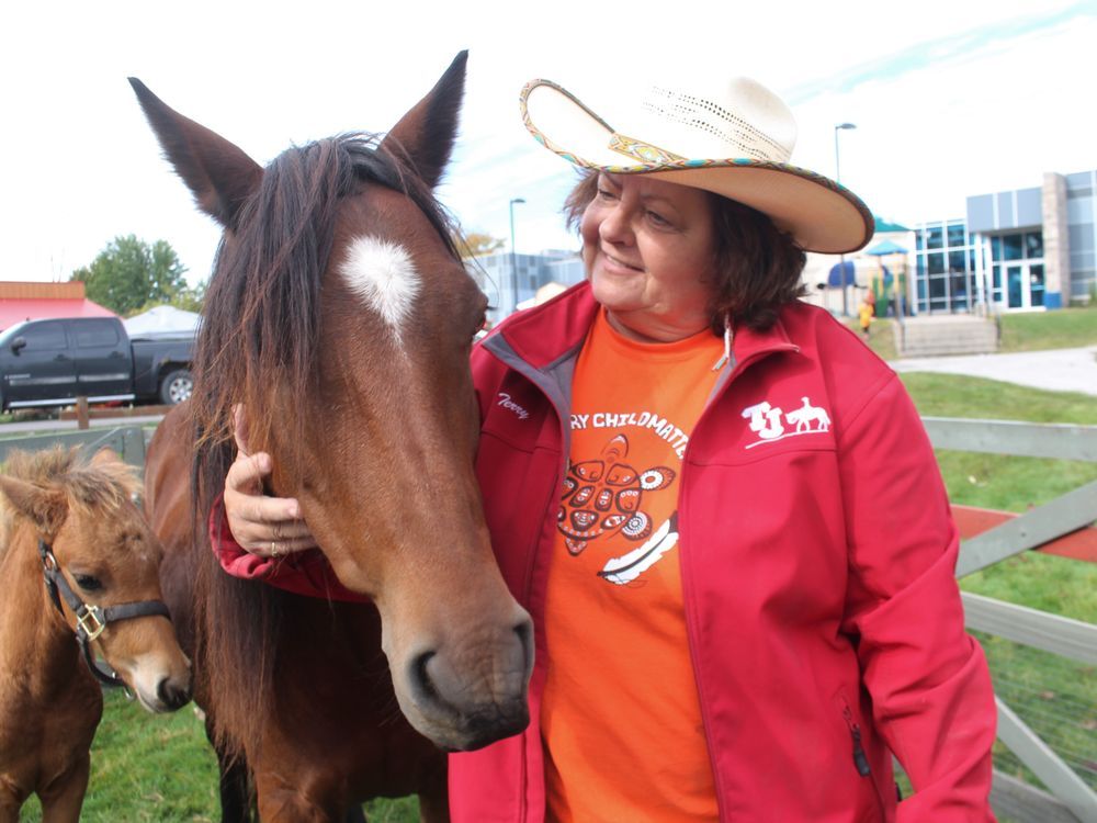 Rare Indigenous ponies visit Sarnia-area First Nations cultural event ...