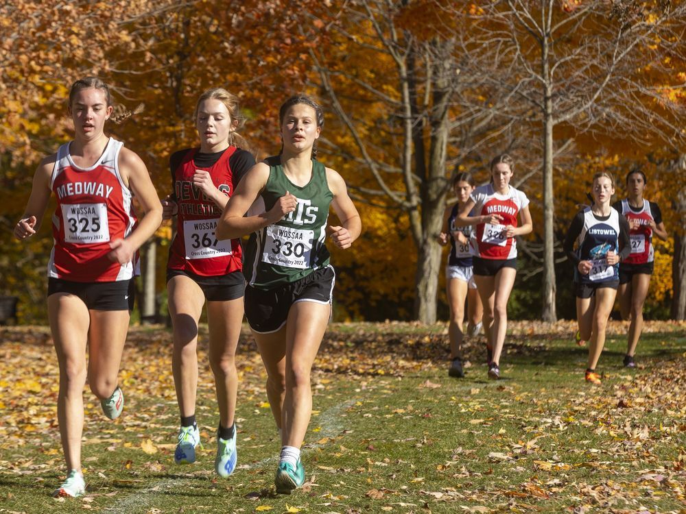 Oxford County runners qualify for OFSAA cross-country championships ...