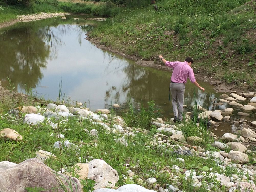 'Celebrating Natural Connections' at Woodstock's Hodges Pond | St ...