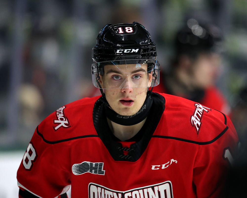 Petrovsky's winding path could lead to the NHL | Owen Sound Sun Times