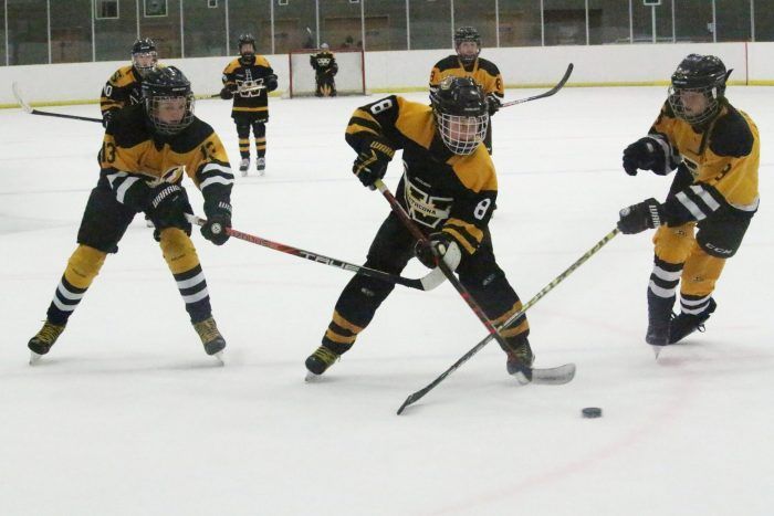 Strathcona hockey sees significant spike as it celebrates 25th ...
