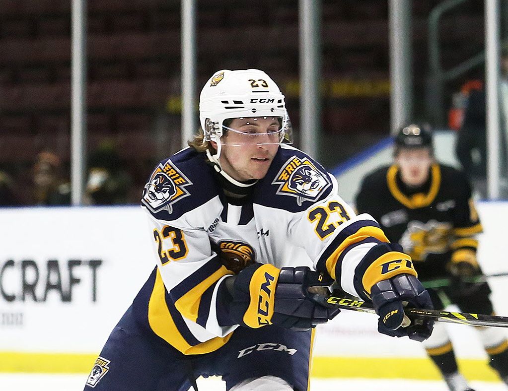 NOJHL news: Fall pickups by Cubs, Paper Kings make instant impact ...