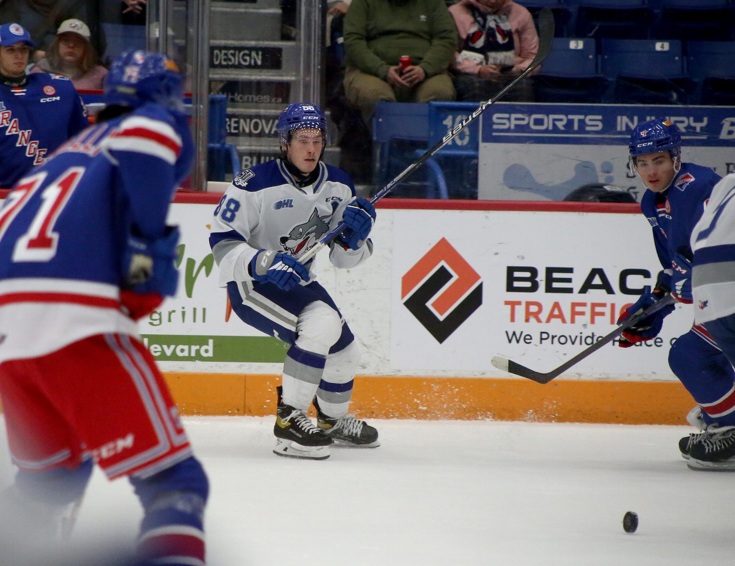 Wolves fall in Kitchener, will look for better outcome in Guelph ...
