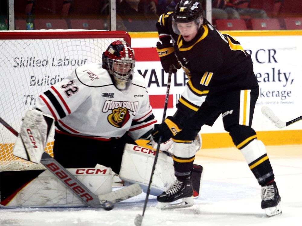 Attack too much for short-handed Sting | The Sarnia Observer