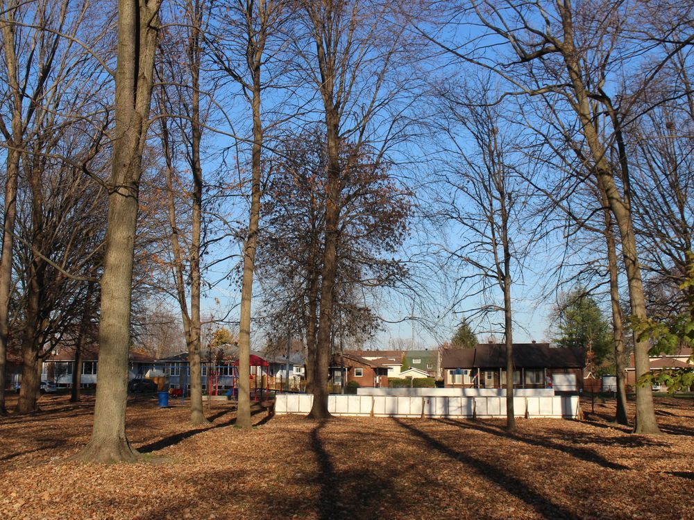 Cornwall puts out call for rink volunteers, as four sheets need help ...