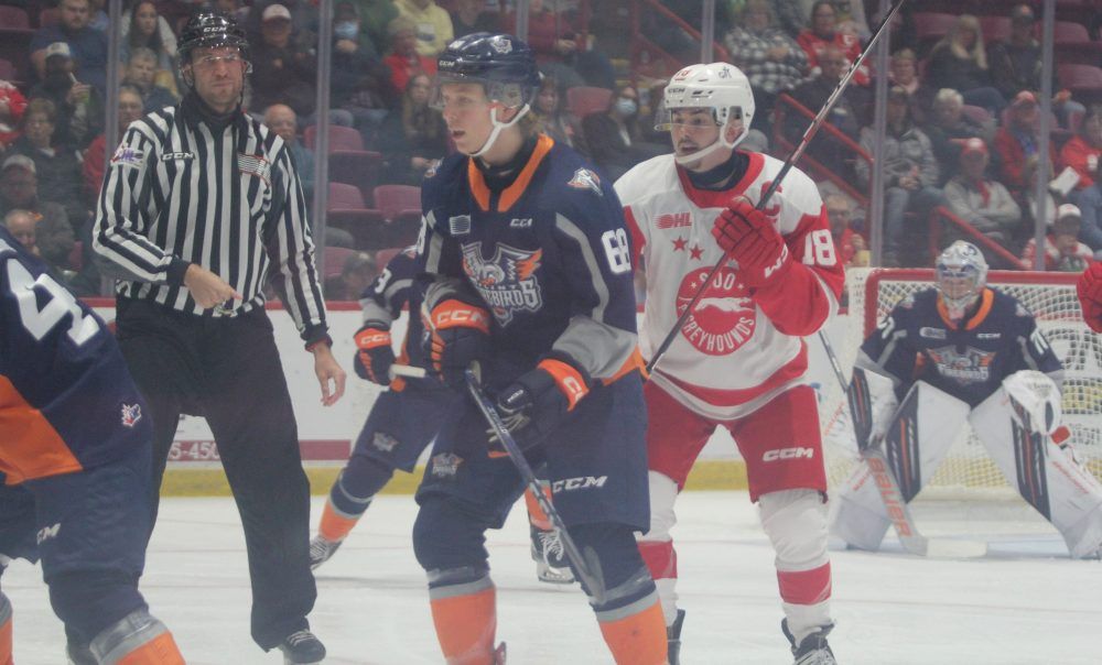 Soo Greyhounds OHL Ontario Hockey League Flint Firebirds | North Bay Nugget