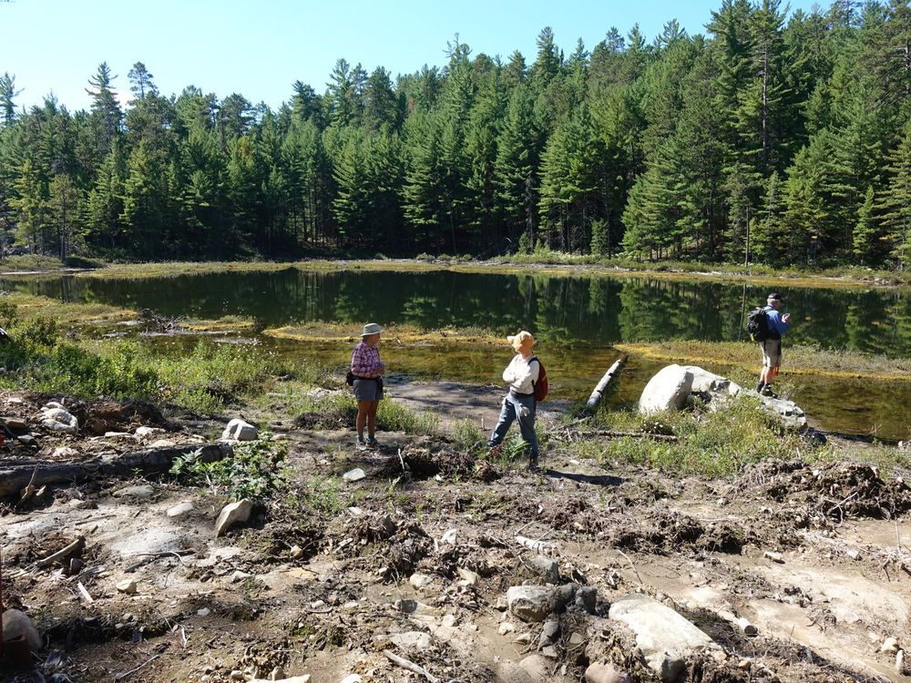 Returning to Wolf Lake - an old growth forest that needs protection ...