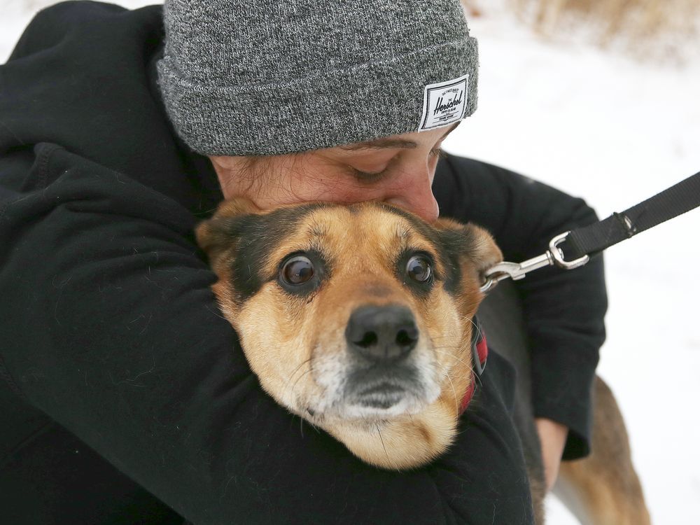 Animal welfare groups in Sudbury overwhelmed by intakes | Sudbury Star