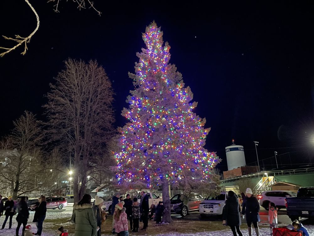 Annual Christmas tree lighting celebrates 10th anniversary | The Daily ...