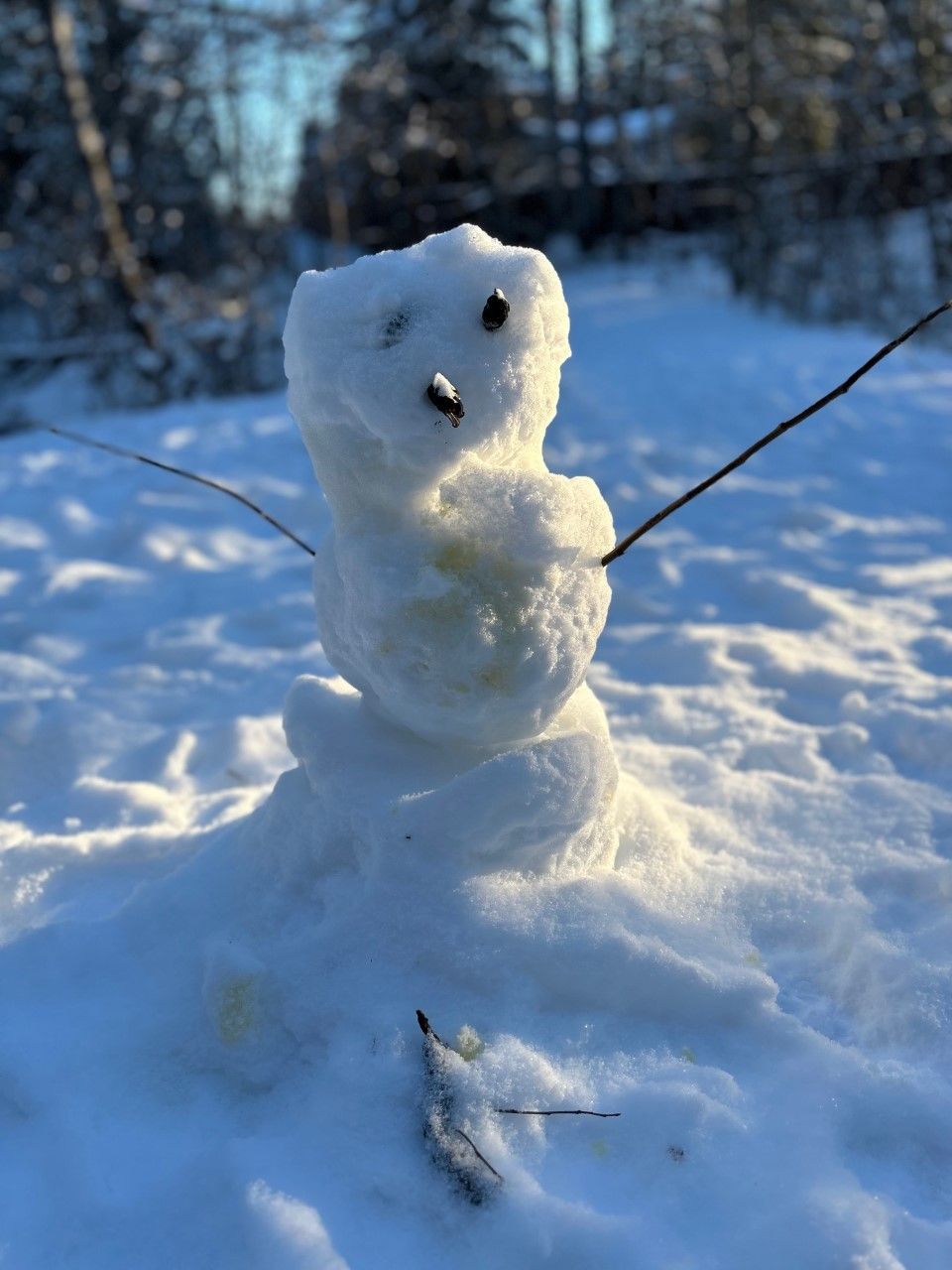 City of North bay under snowfall warning | North Bay Nugget