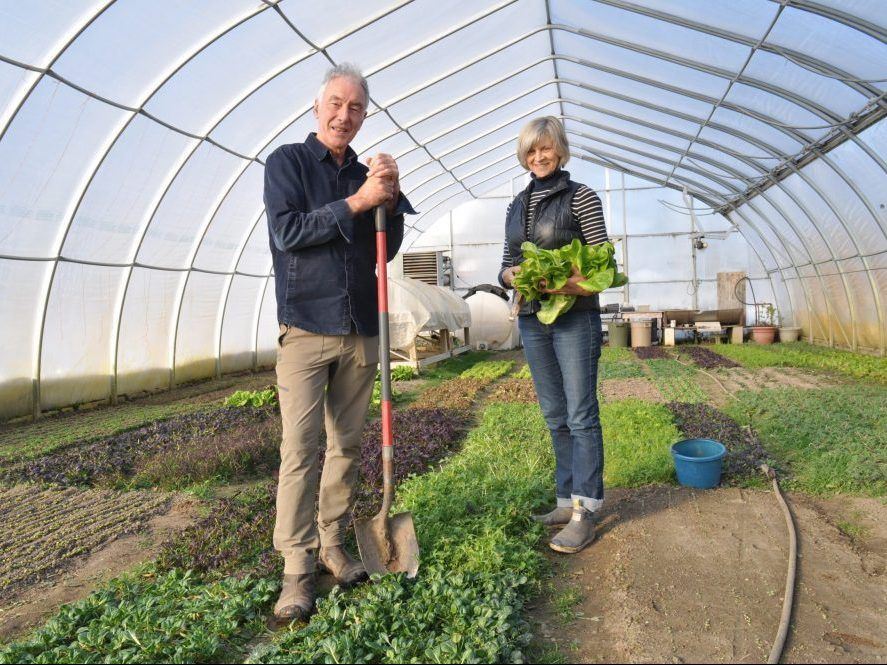 Sebringville-area farm Soiled Reputation earns spot on agriculture wall ...