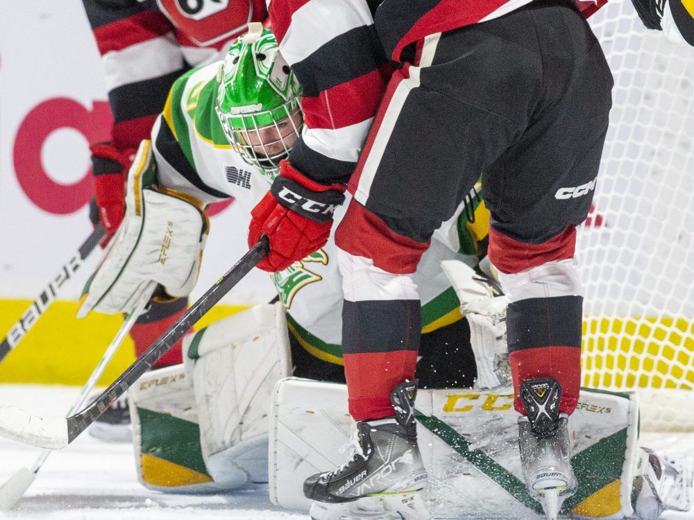 Local hockey: Brochu posts shutout; Maroons release Hamlin; Kings lose ...