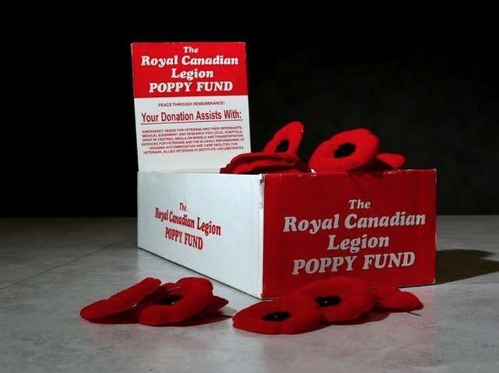 Charges laid in poppy box thefts | Sherwood Park News