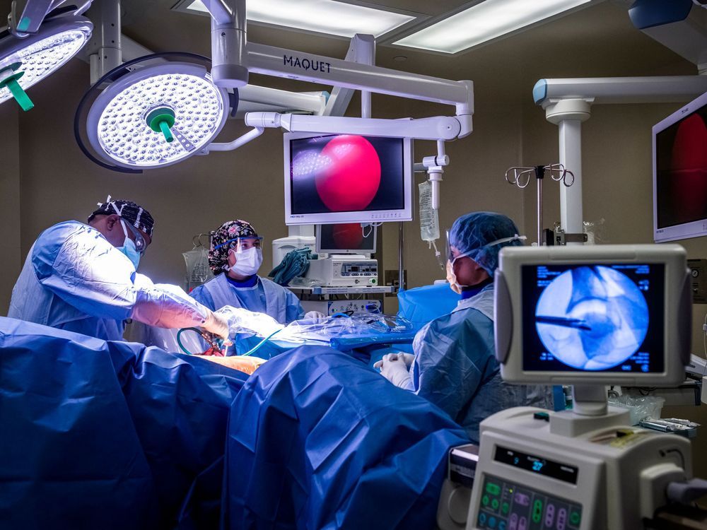 Behind the Scenes: A year of recovery and healing at Cornwall Hospital ...